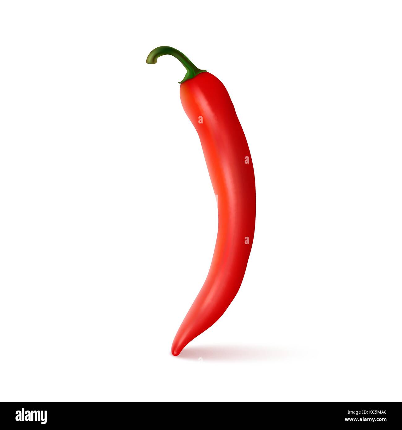 Vector realistic red hot natural chili pepper. Design template or ...