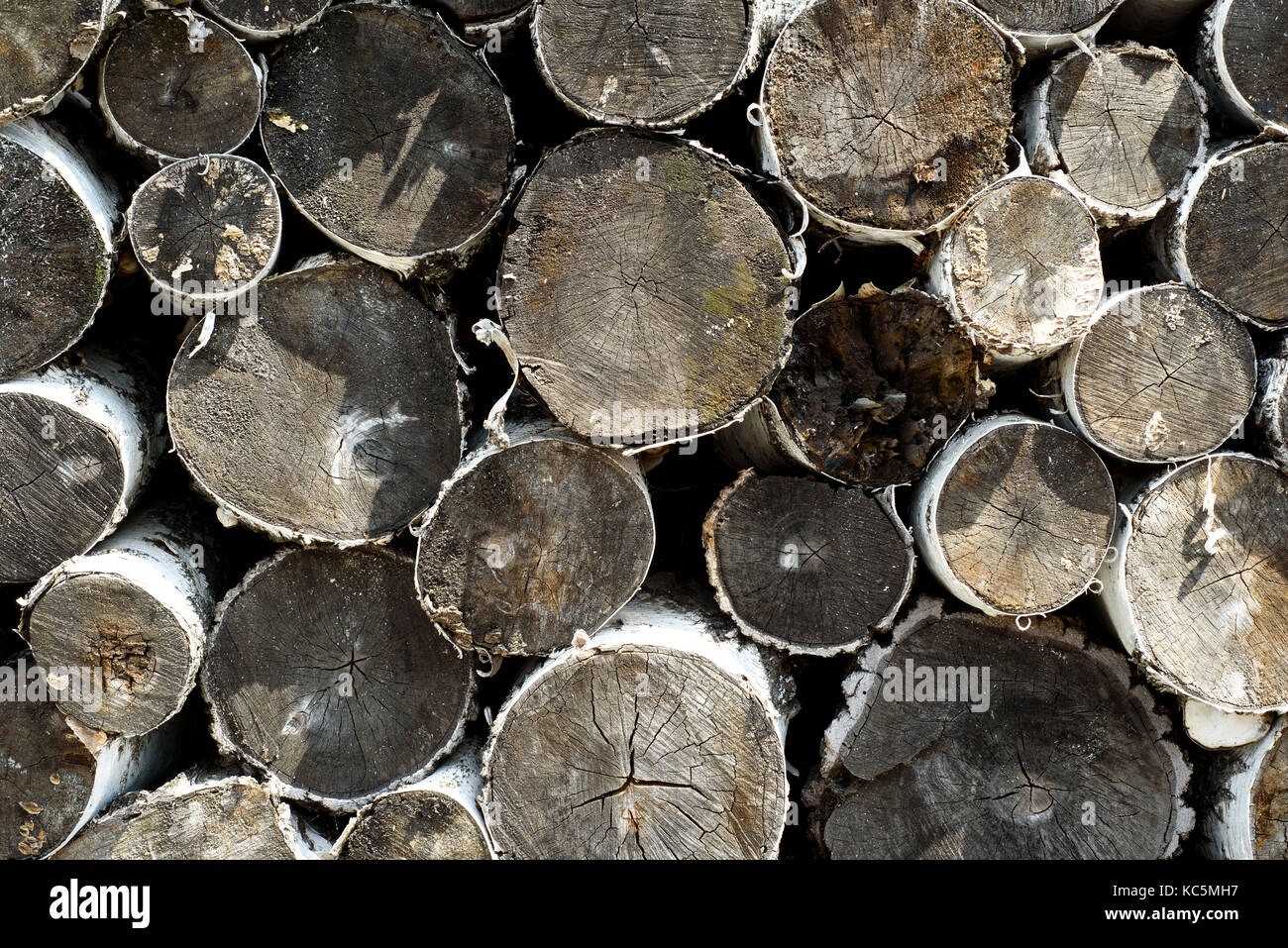 Many wood logs form a distinct timber pattern with their cut wooden ...