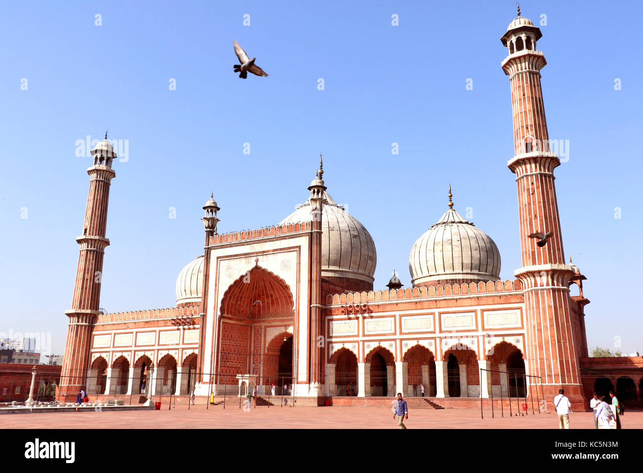 Jama Masjid of Delhi, is one of the largest mosques in India. The ...