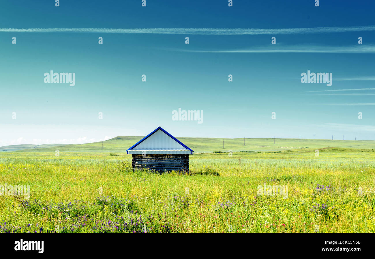 Single rustic log cabin in a field with lush green wild grasses and a ...