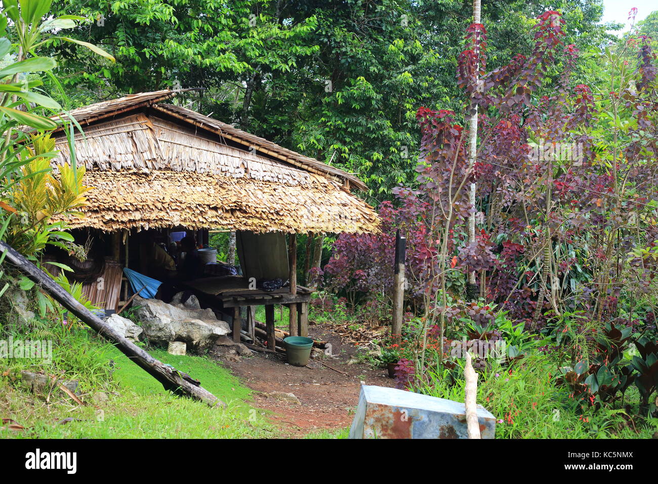 Small Village of Solomon Island Stock Photo - Alamy