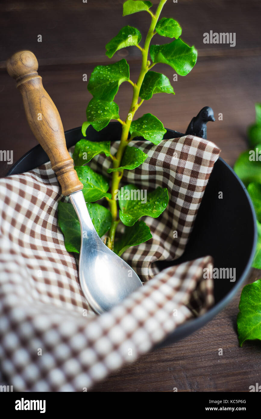 Rustic table setting with vintage ceramic plates and branch of ivy ...