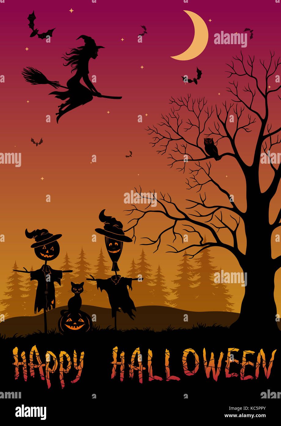 Wizard girl mystic holiday hi-res stock photography and images - Alamy