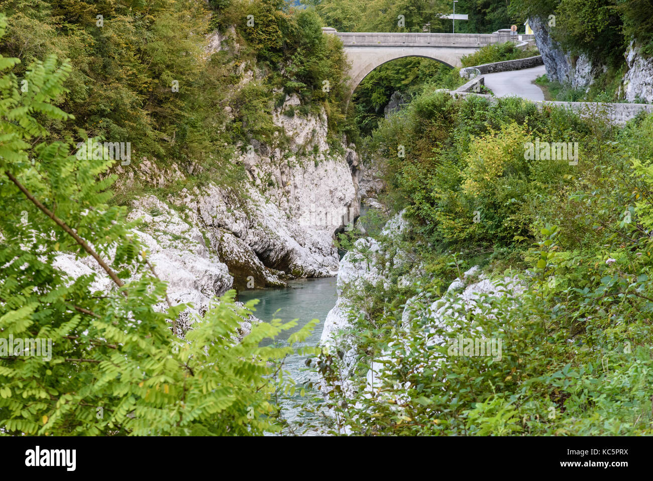Gorge of the Isonzo River Stock Photo - Alamy