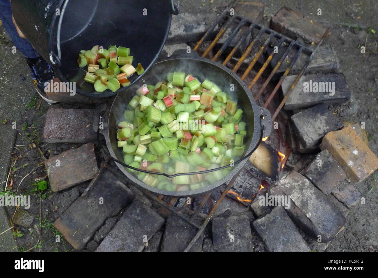 fresh red rhubarb from the vegetable garden Stock Photo - Alamy