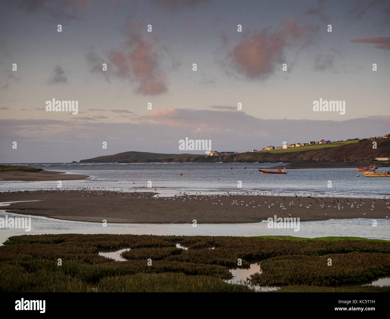 River Teifi estuary and creeks, Cardigan Island, St Dogmaels Stock ...