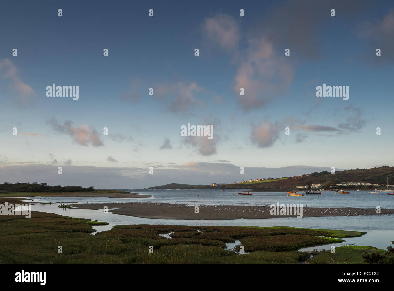 River Teifi estuary and creeks, Cardigan Island, St Dogmaels Stock ...