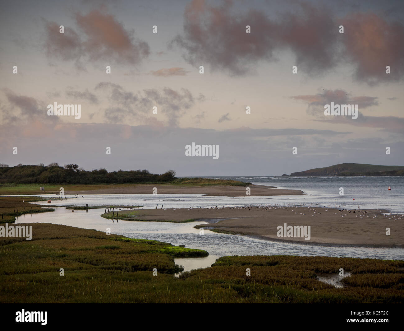 River Teifi estuary and creeks, Cardigan Island, St Dogmaels Stock ...