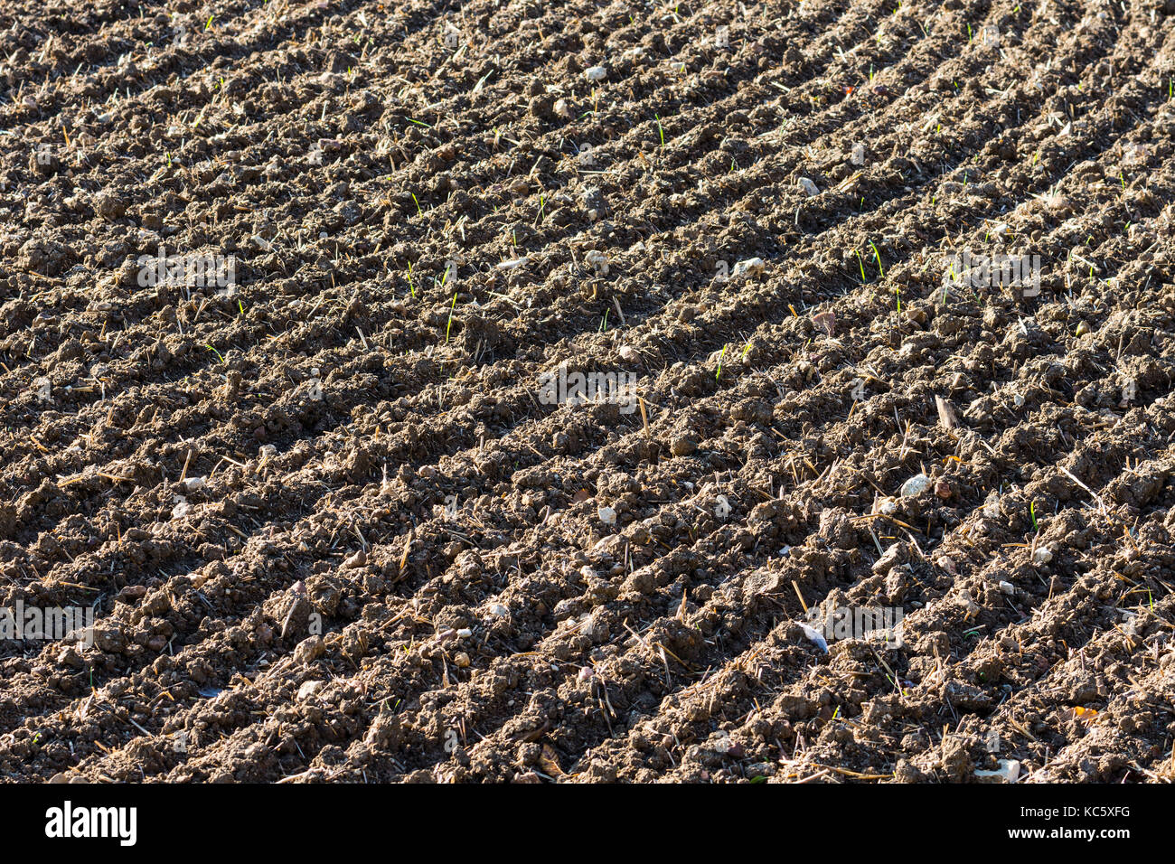 Tilled Soil High Resolution Stock Photography and Images - Alamy