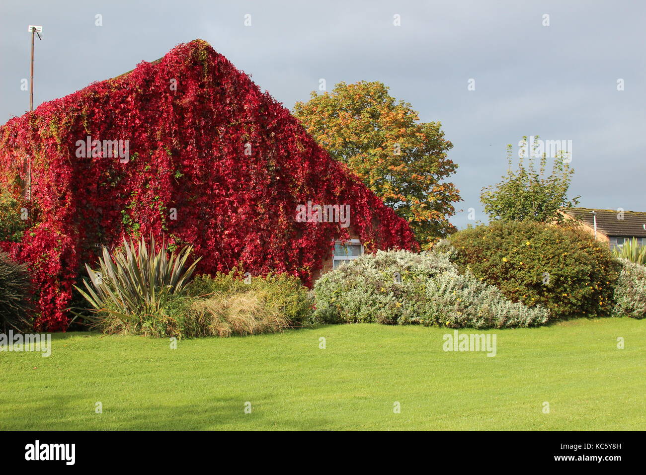 Autumn the end of summer Stock Photo - Alamy