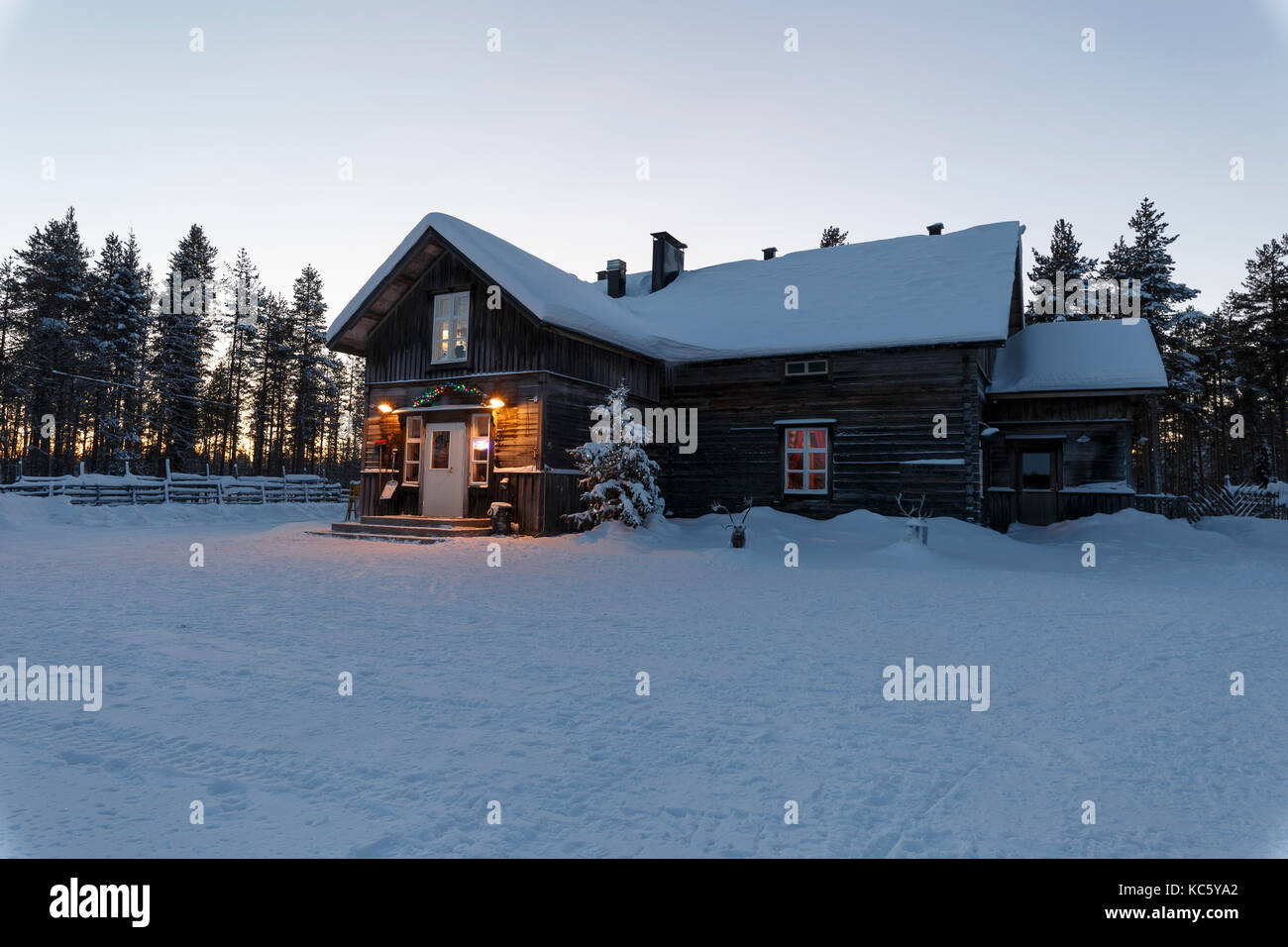 Winter dawn dark snow tree hi-res stock photography and images - Alamy