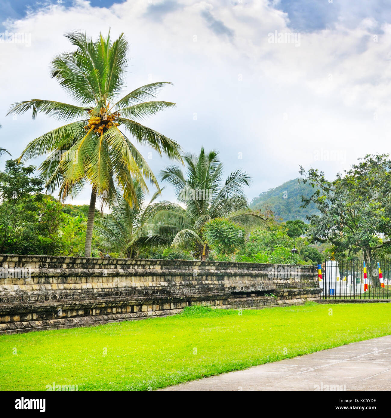 Lawn, coconut trees, cloudy day Stock Photo - Alamy