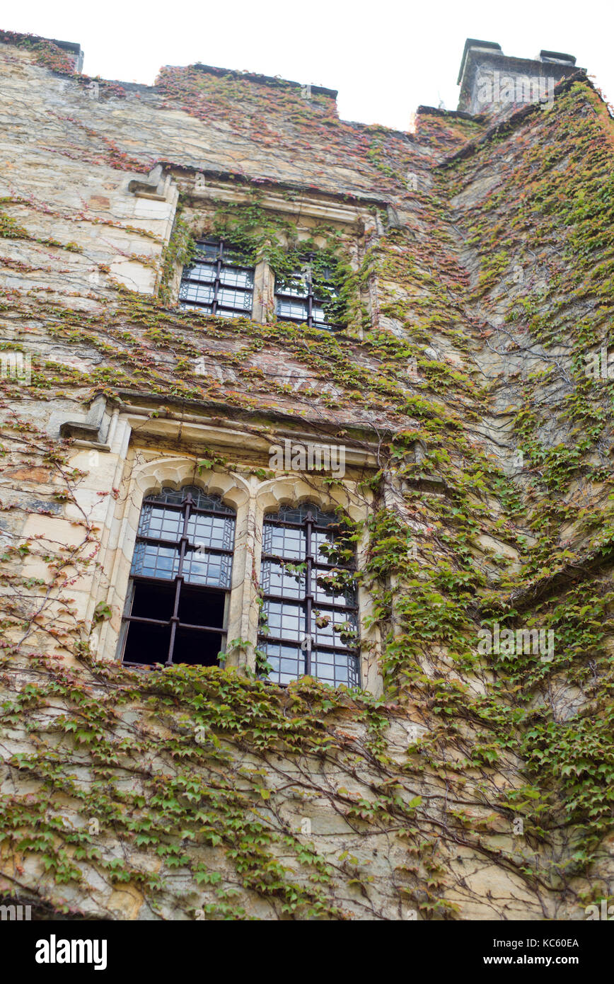 Virginia creeper over castle facade Stock Photo - Alamy