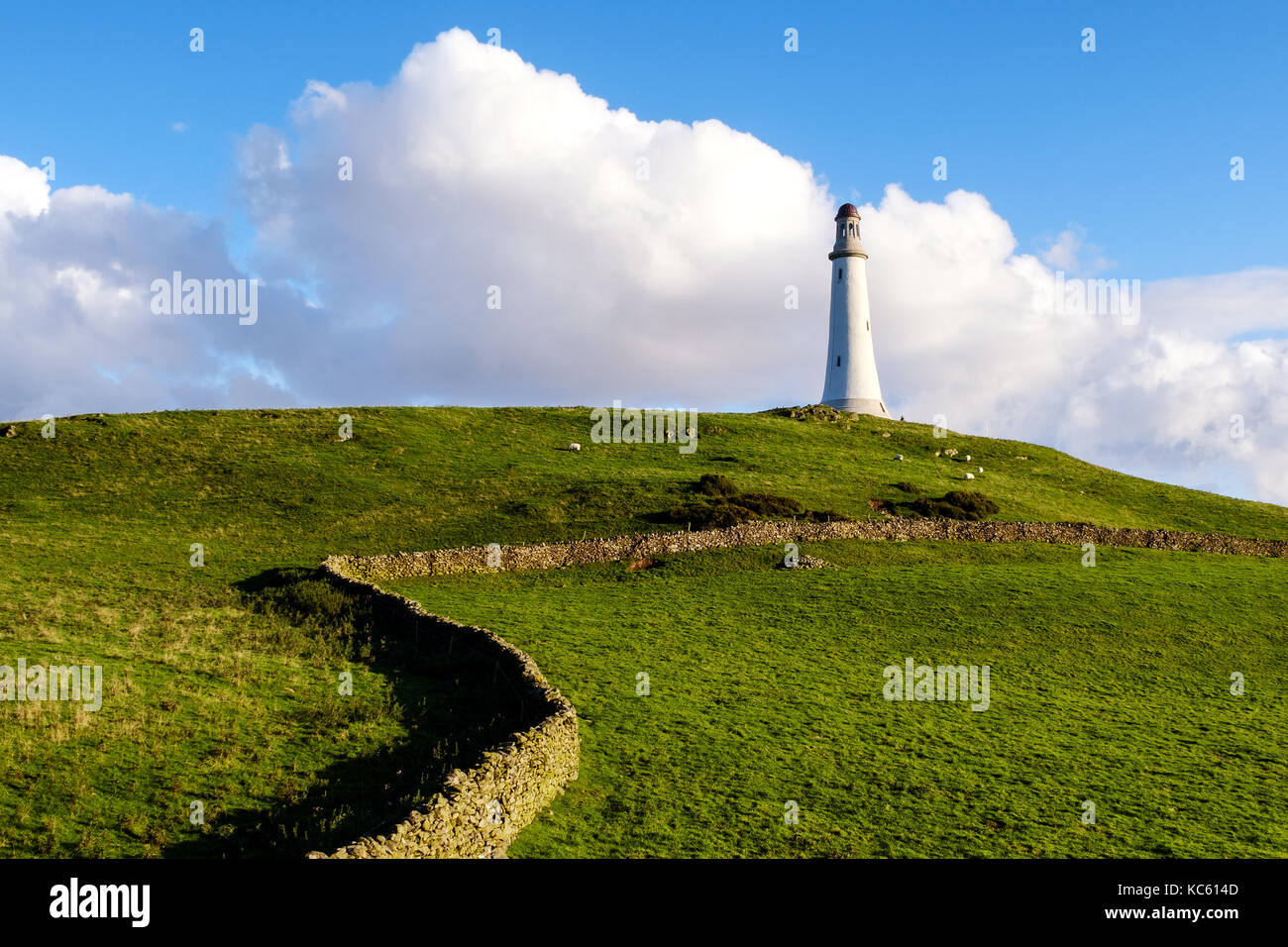 Sir John Barrow Monument, 'The Hoad', Ulverston, with sunlit drystone ...