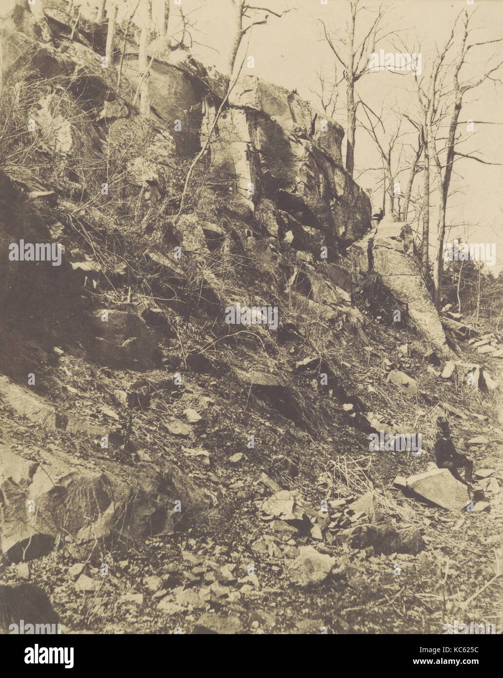 Rocky Hillside, 1850s, Salted paper print from paper negative, Image ...