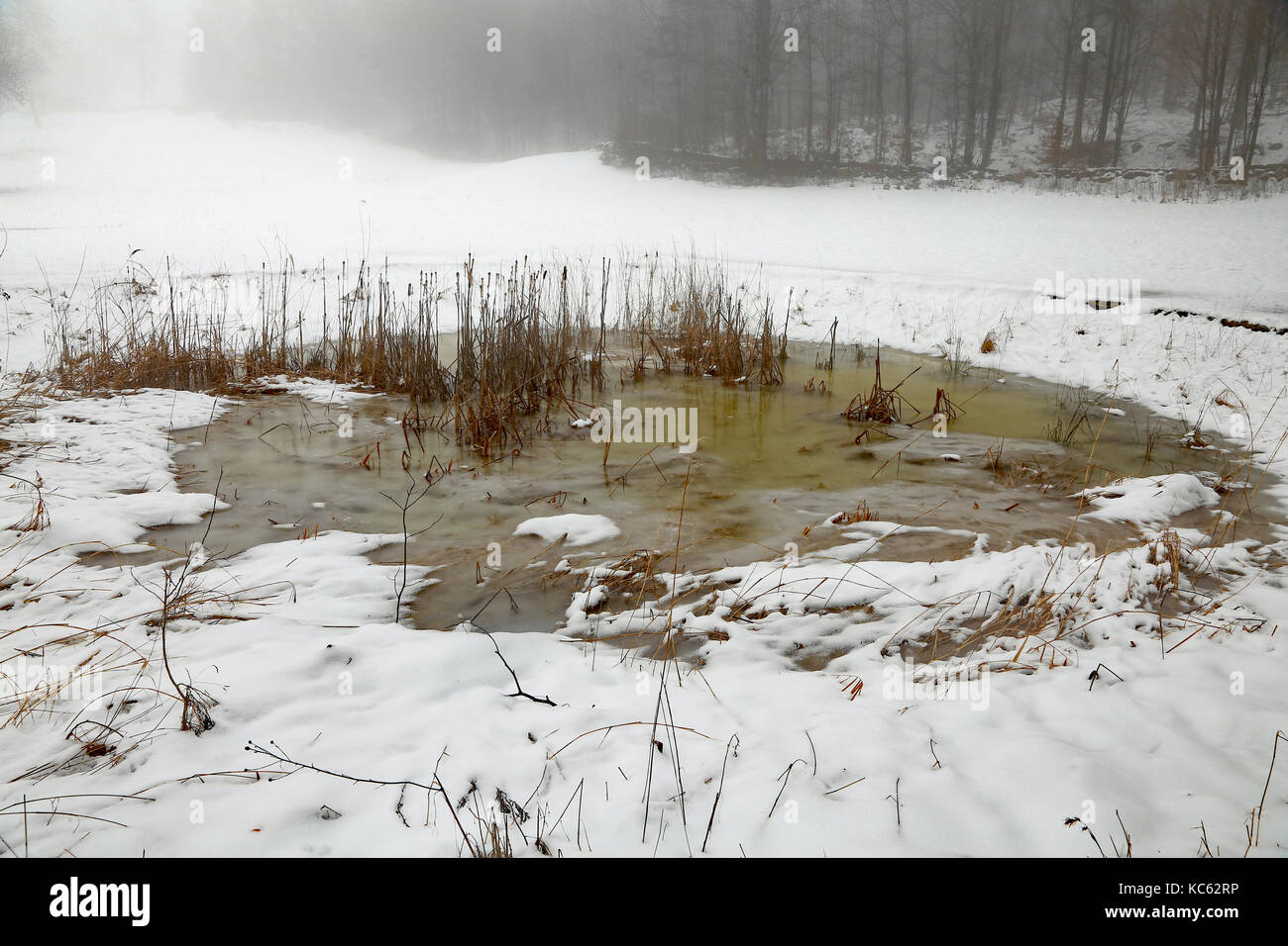 frozen mountain pond in winter amidst the field with white snow Stock ...