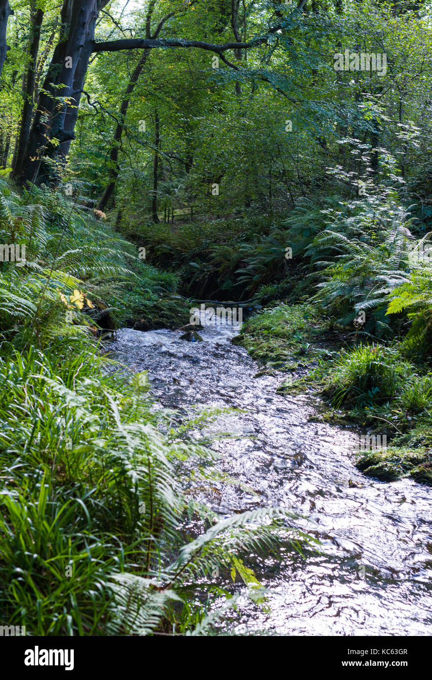 Colby Glen river Stock Photo - Alamy