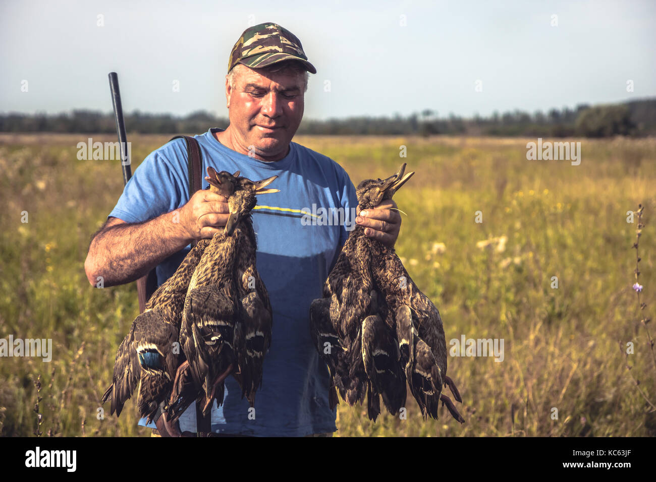 Hunter man with trophy ducks in rural field with shotgun during hunting ...