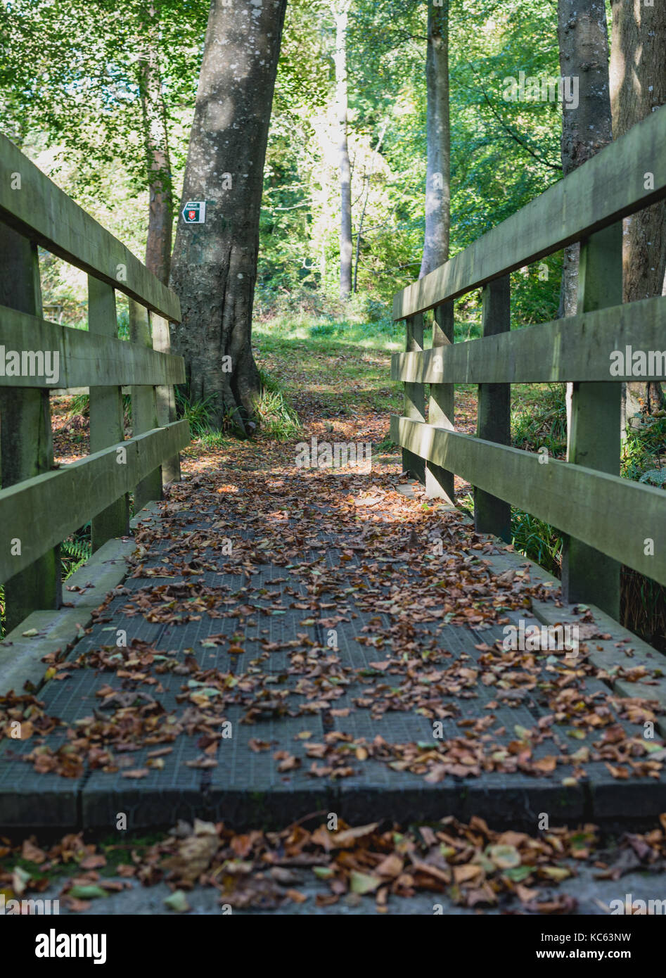Wooden bridge across hi-res stock photography and images - Alamy