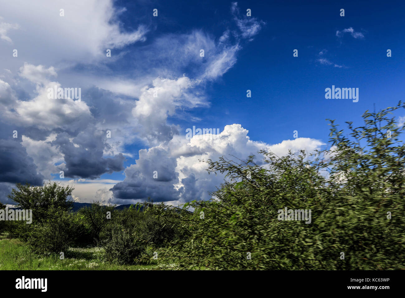 Green landscape and beautiful blue sky of cattle ranch The Volanta in ...
