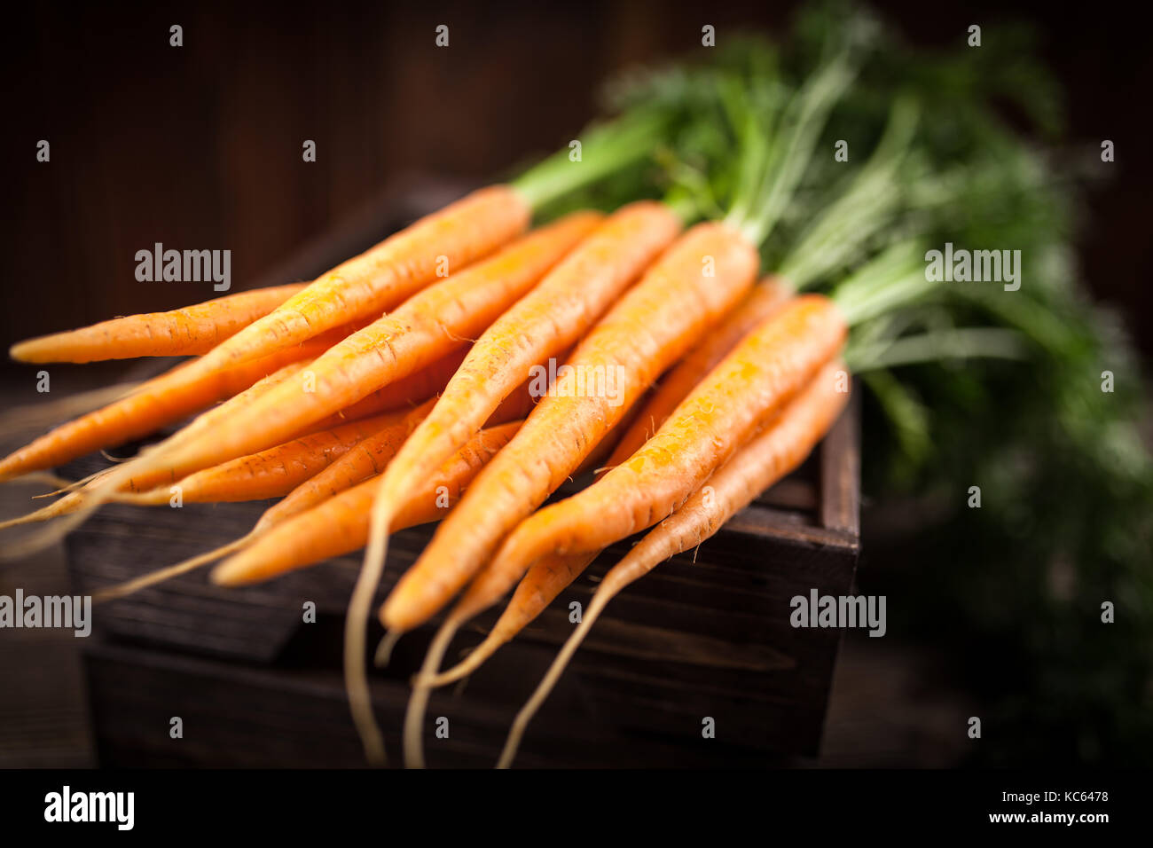Fresh organic carrot Stock Photo - Alamy