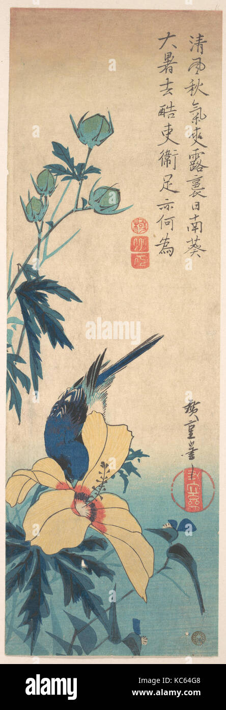 Hibiscus and Bluebird, Edo period (1615–1868), ca. 1832, Japan ...