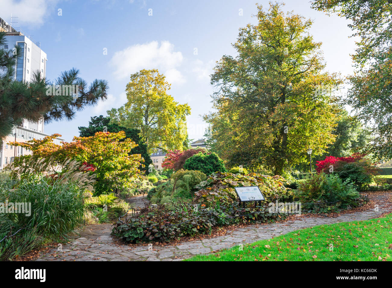 Southampton city centre park hi-res stock photography and images - Alamy