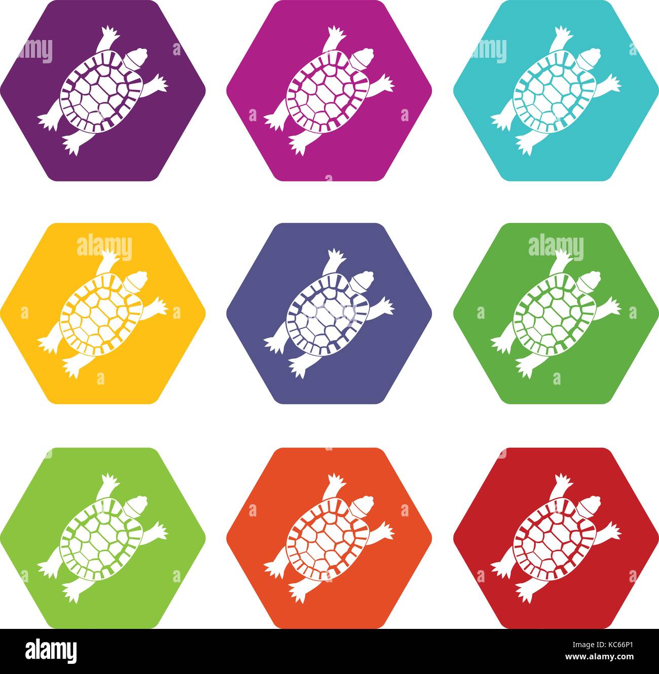 Turtle icon set color hexahedron Stock Vector Image & Art - Alamy