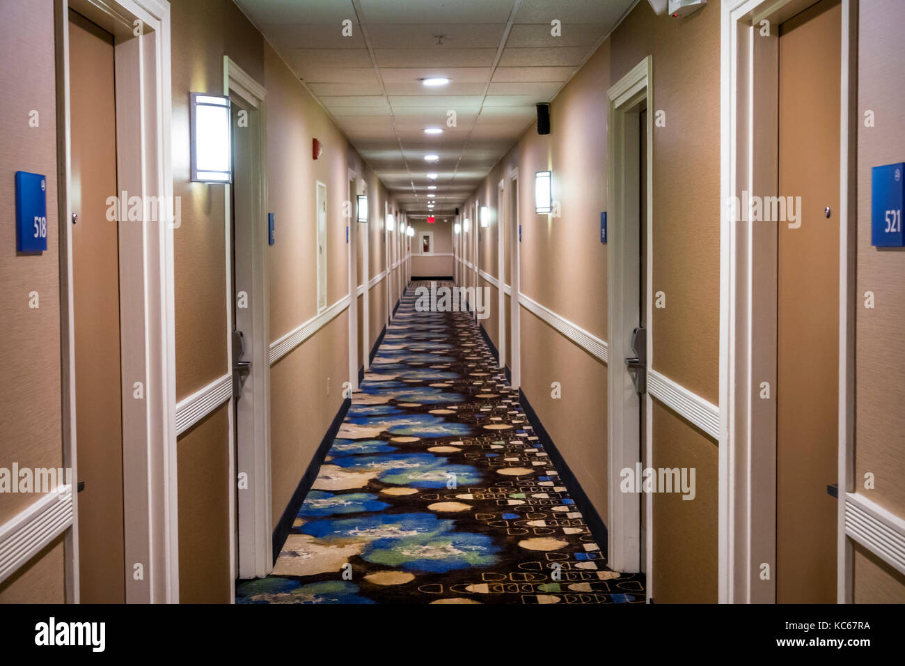 Maryland,Silver Spring,Holiday Inn Express,hotel,hallway,hall,room ...