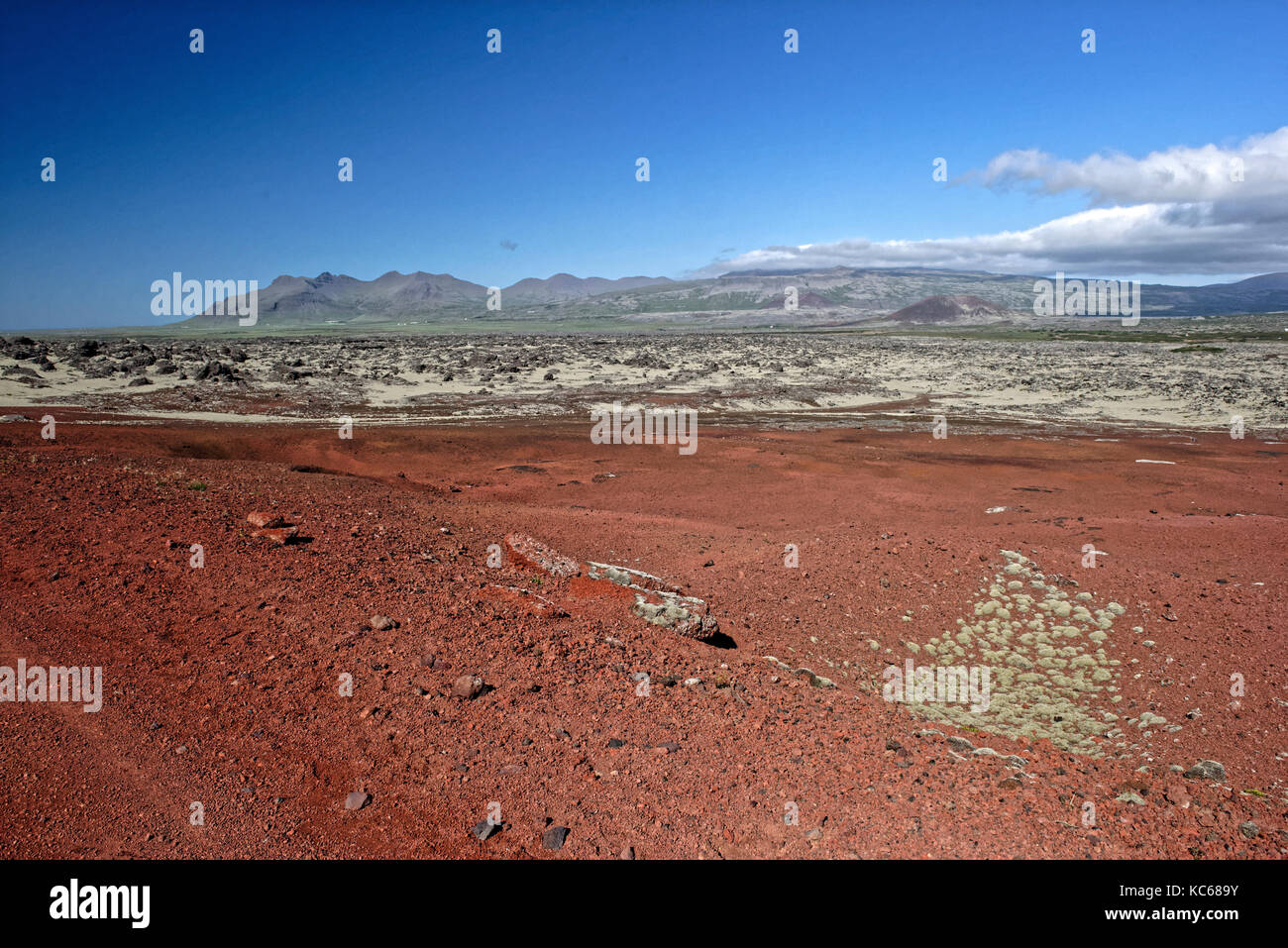 Bizarre lava formations surrounded by cotton grass, Skaelingar mountain ...