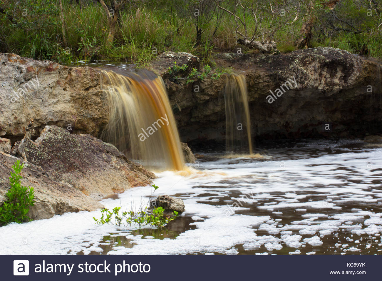 Brackish Water Stock Photos & Brackish Water Stock Images - Alamy