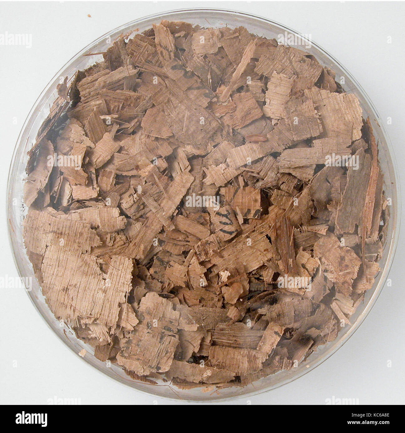 Papyri Fragments, 7th century, Made in Thebes, Byzantine Egypt, Coptic ...