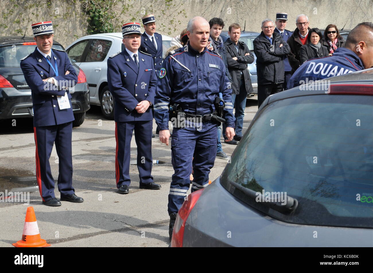 Money sniffer dog hi-res stock photography and images - Alamy