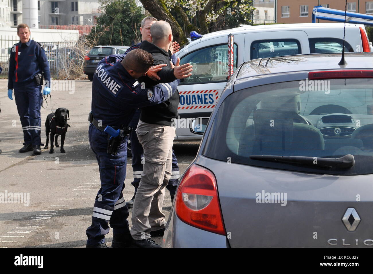 French customs hold a drill with "cash money sniffer" dogs ...
