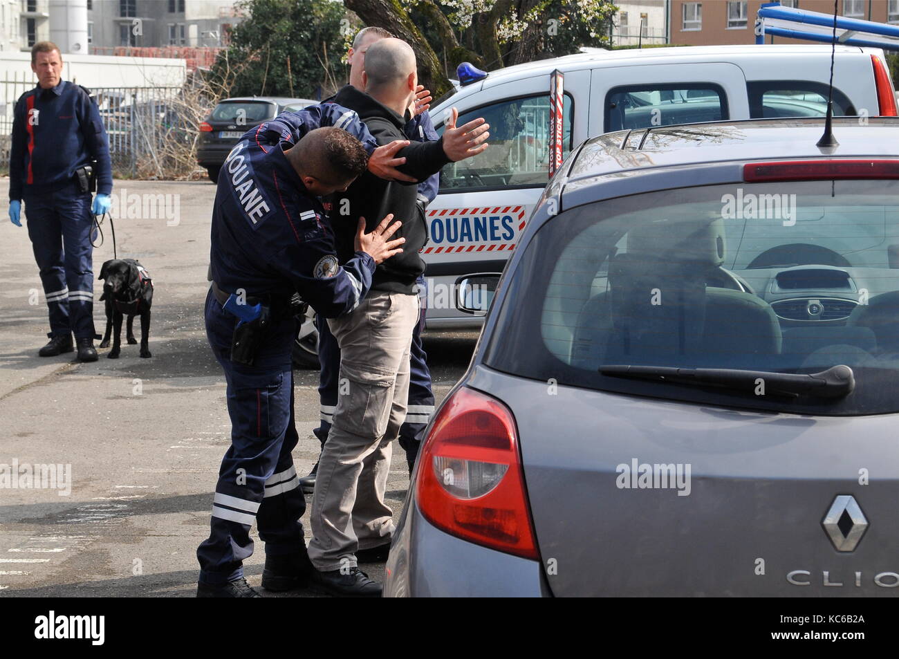 French customs hold a drill with "cash money sniffer" dogs ...