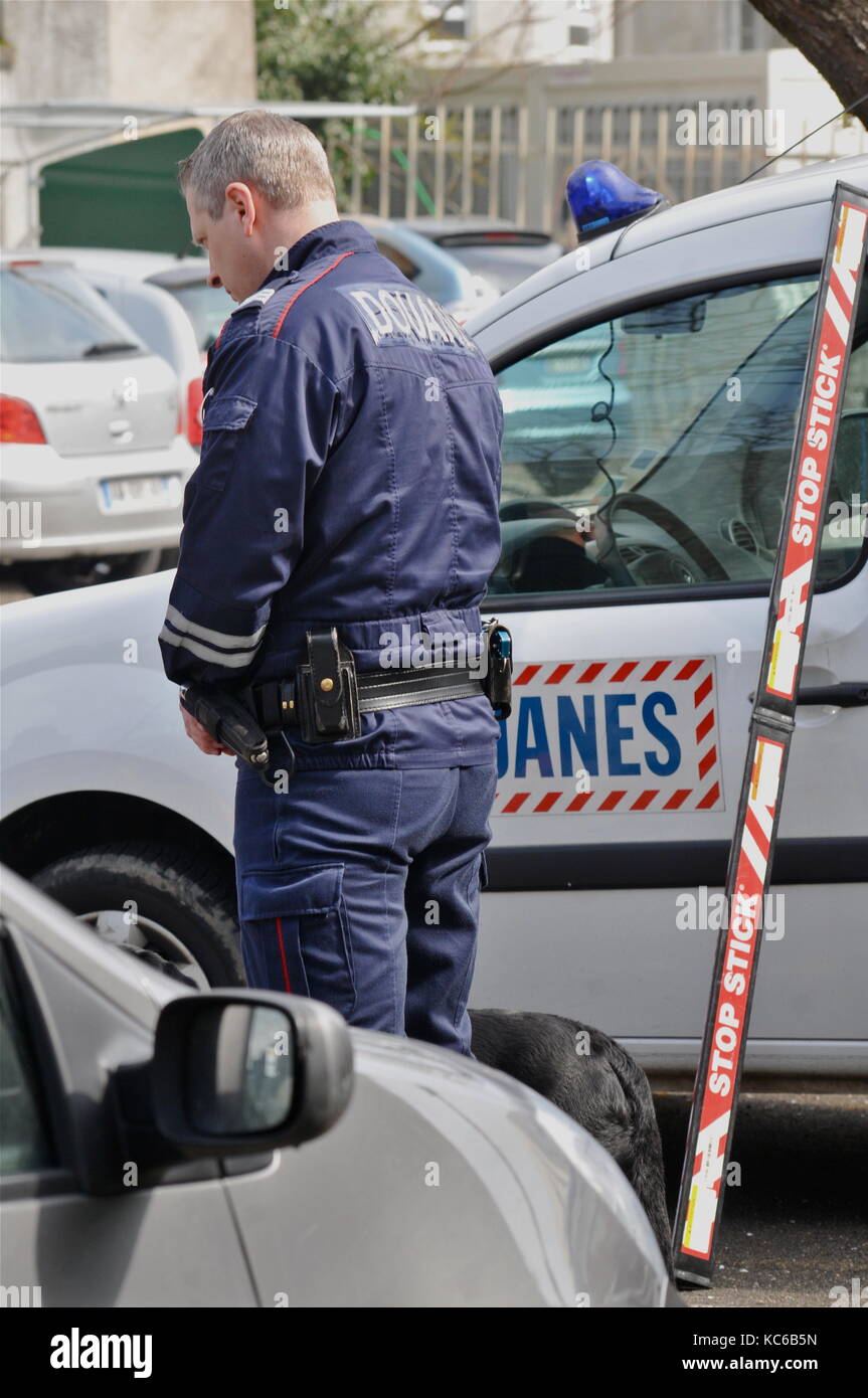Money sniffer dog hi-res stock photography and images - Alamy