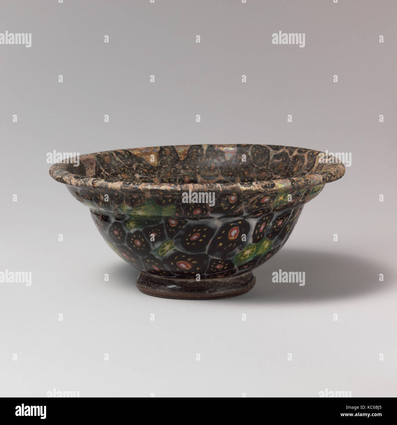 Carinated hi-res stock photography and images - Alamy