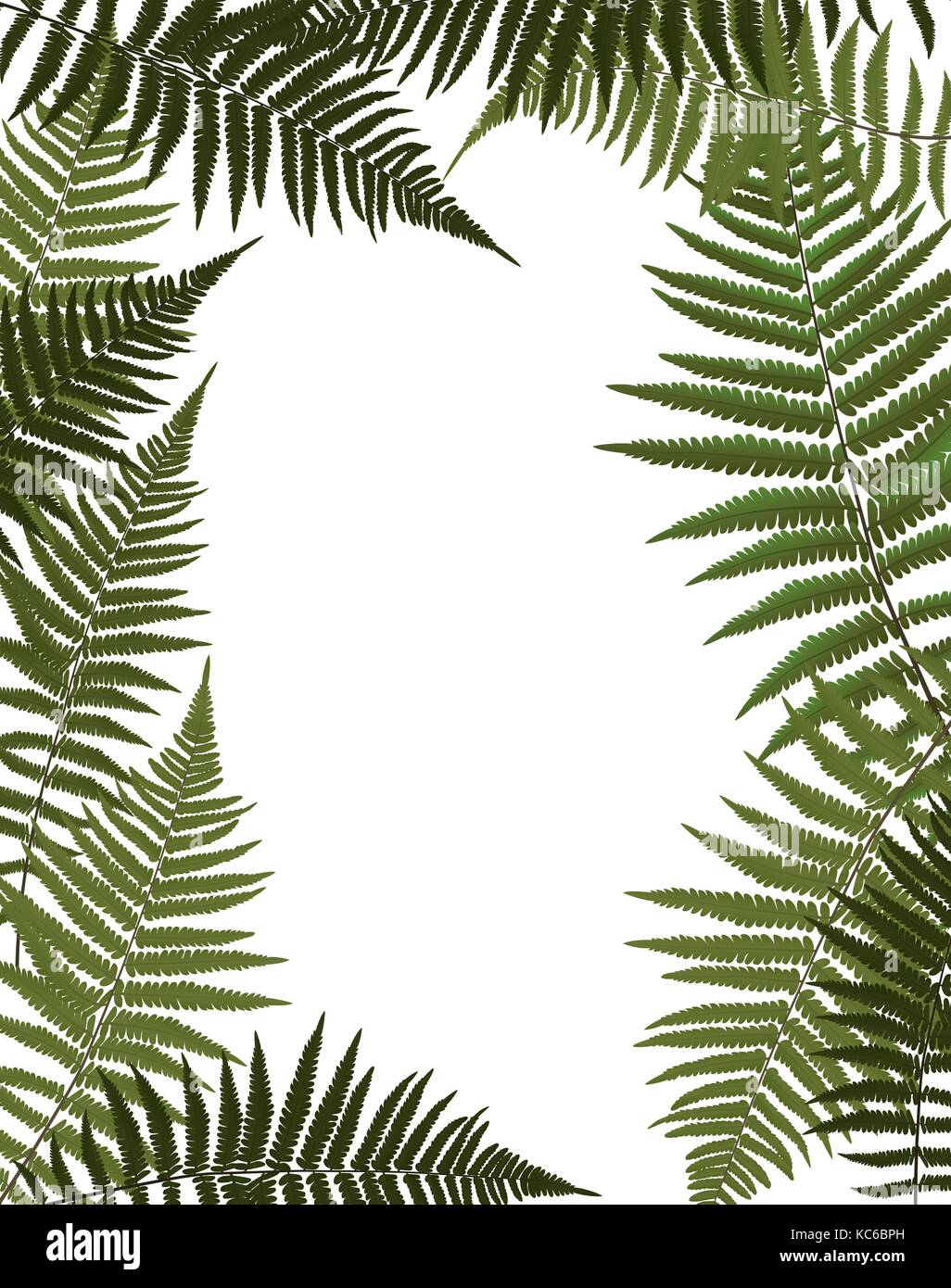 Fern Leaf Vector Background Illustration Stock Vector Image & Art - Alamy