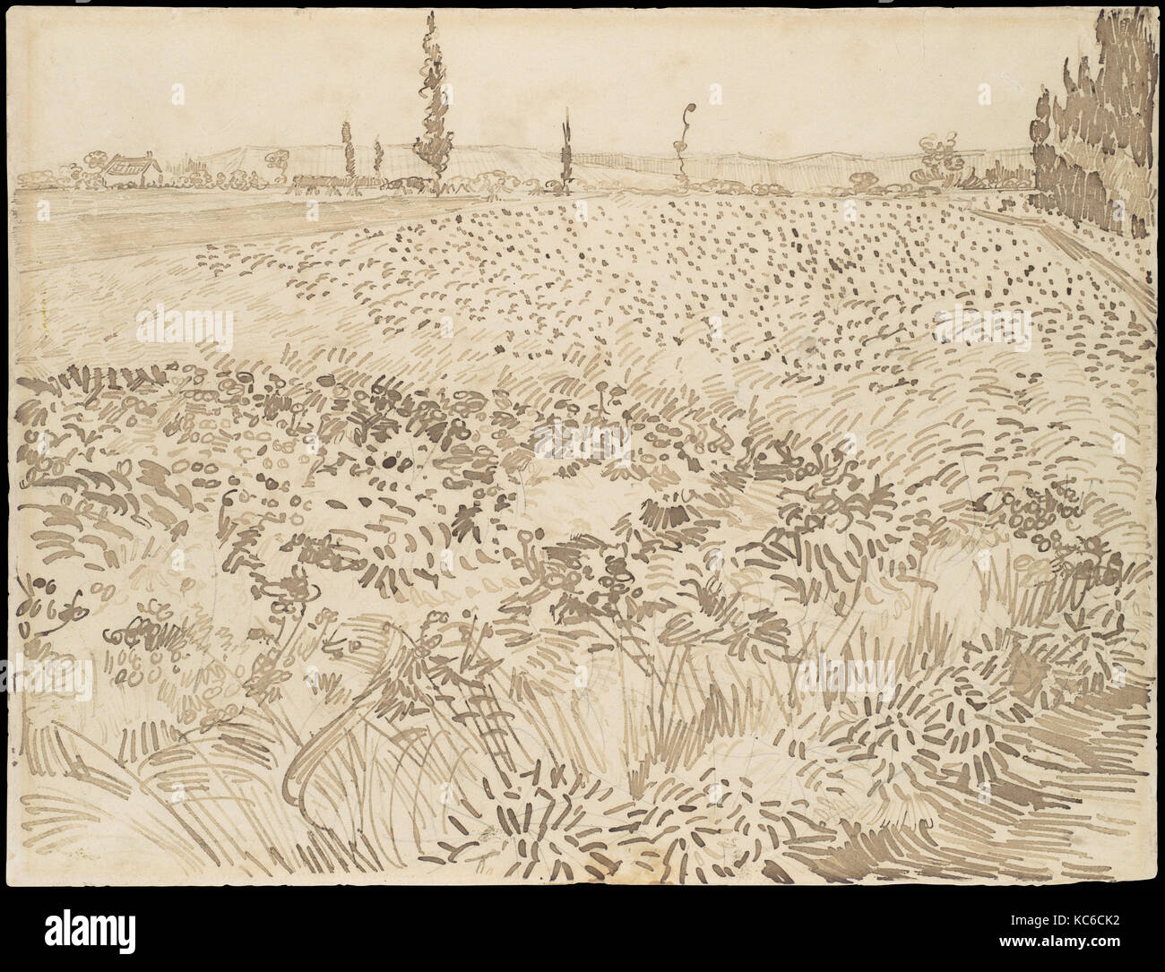 Wheat Field, 1888, Reed pen and iron gall ink over graphite on wove ...
