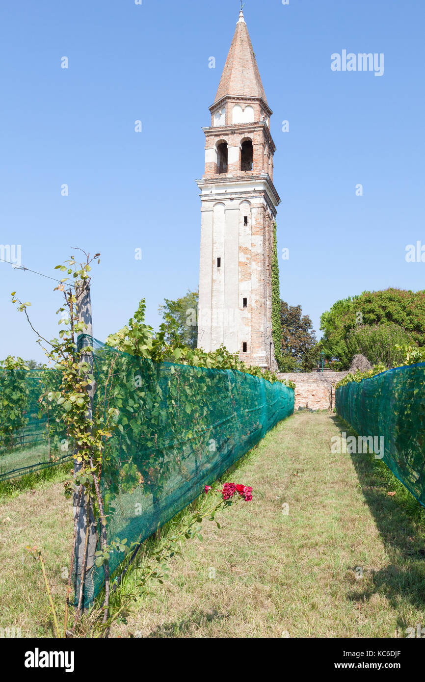 1318 historic bell tower of Santa Caterina Monastery Mazzorbo Island ...