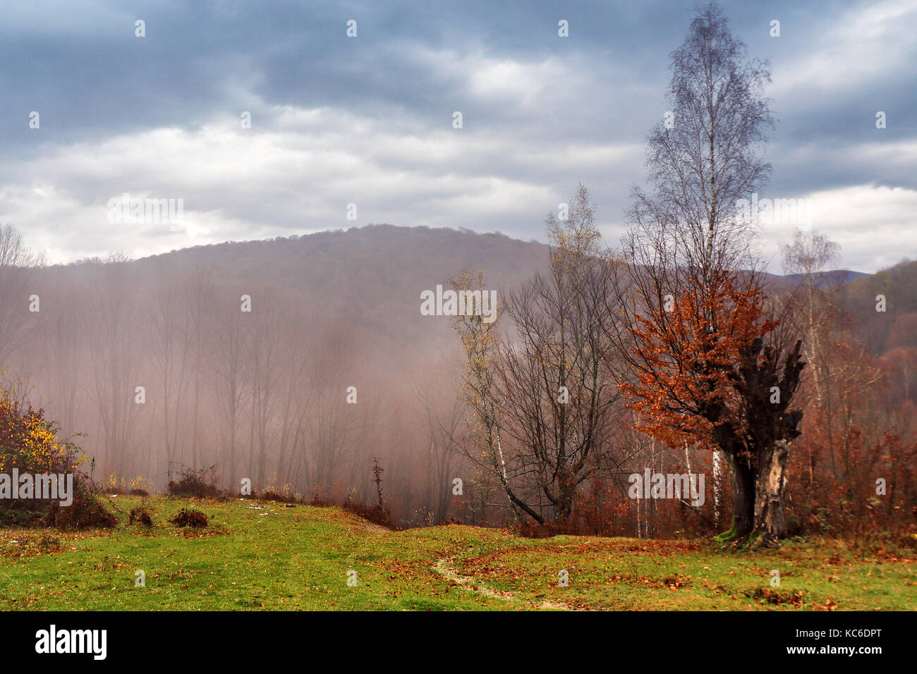 Cloudy mountain autumn landscape with colorful forest. Overcast orange ...