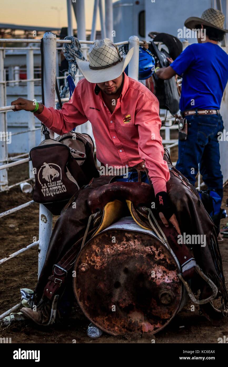 Behind the scene of the sport of Vaqueros, horse riders and Jineteo de ...