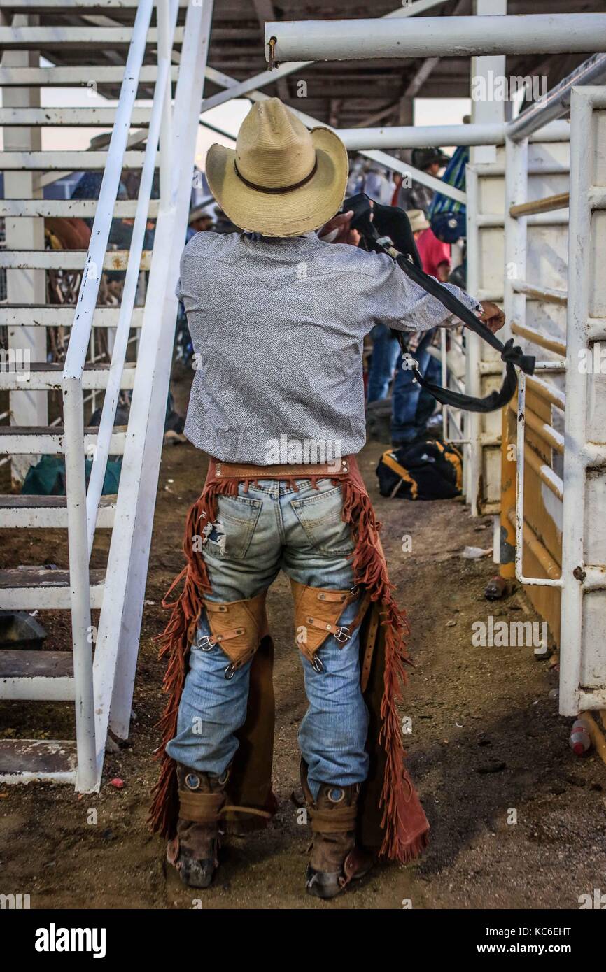 Behind the scene of the sport of Vaqueros, horse riders and Jineteo de ...