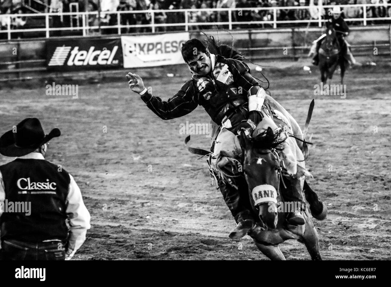 Behind the scene of the sport of Vaqueros, horse riders and Jineteo de ...