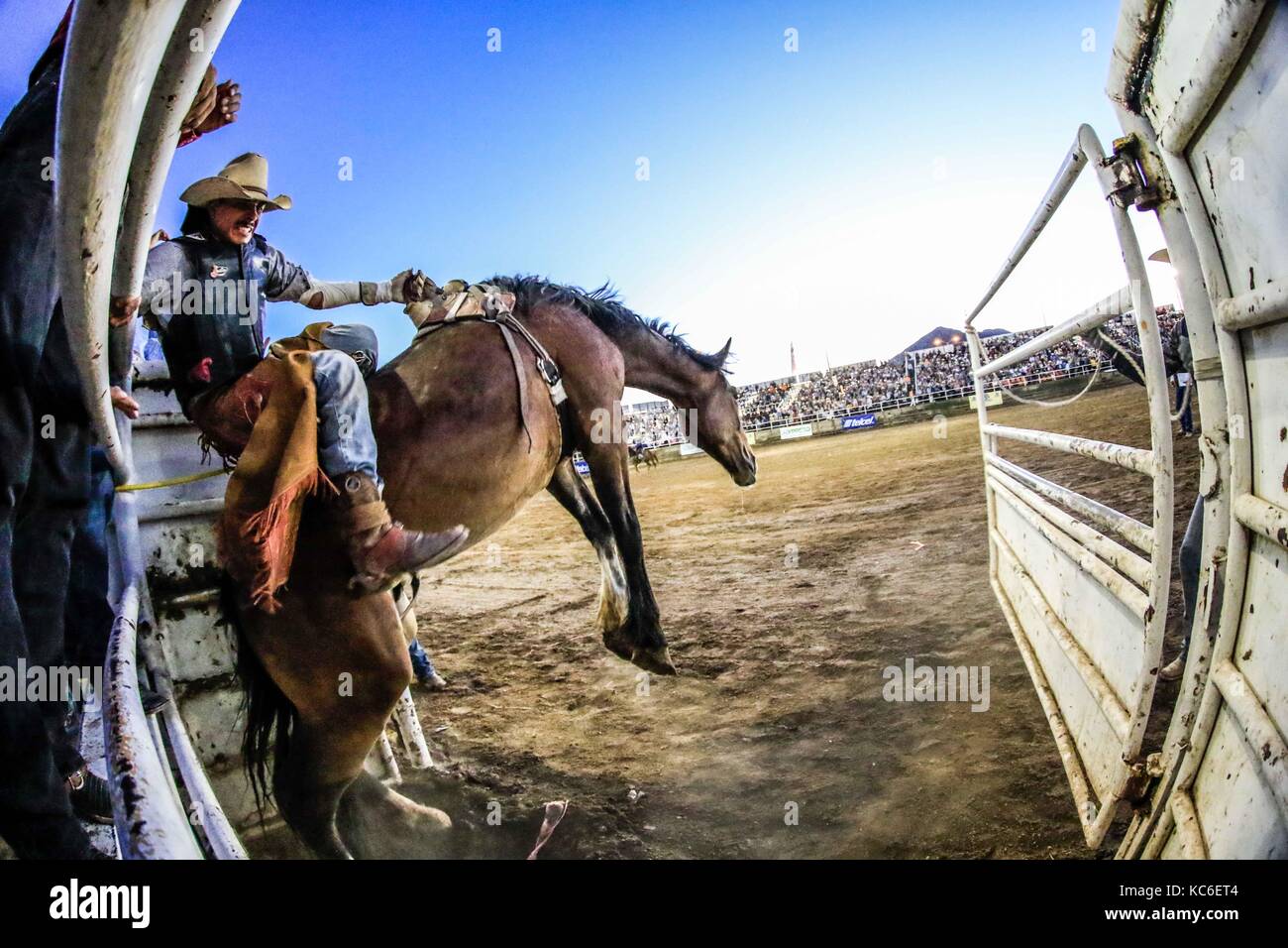 Behind the scene of the sport of Vaqueros, horse riders and Jineteo de ...