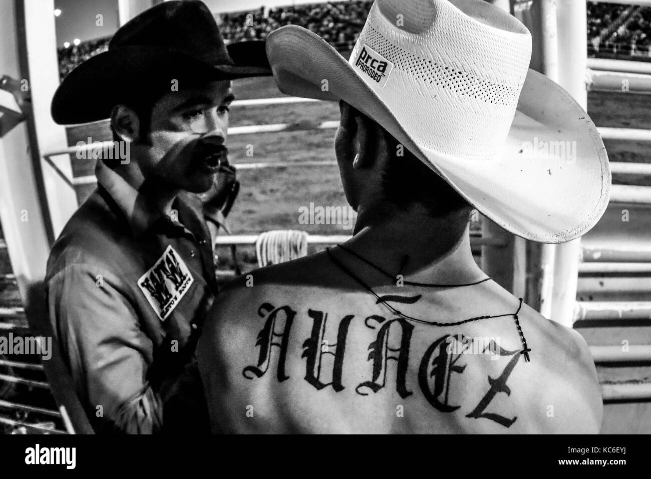 Behind the scene of the sport of Vaqueros, horse riders and Jineteo de ...