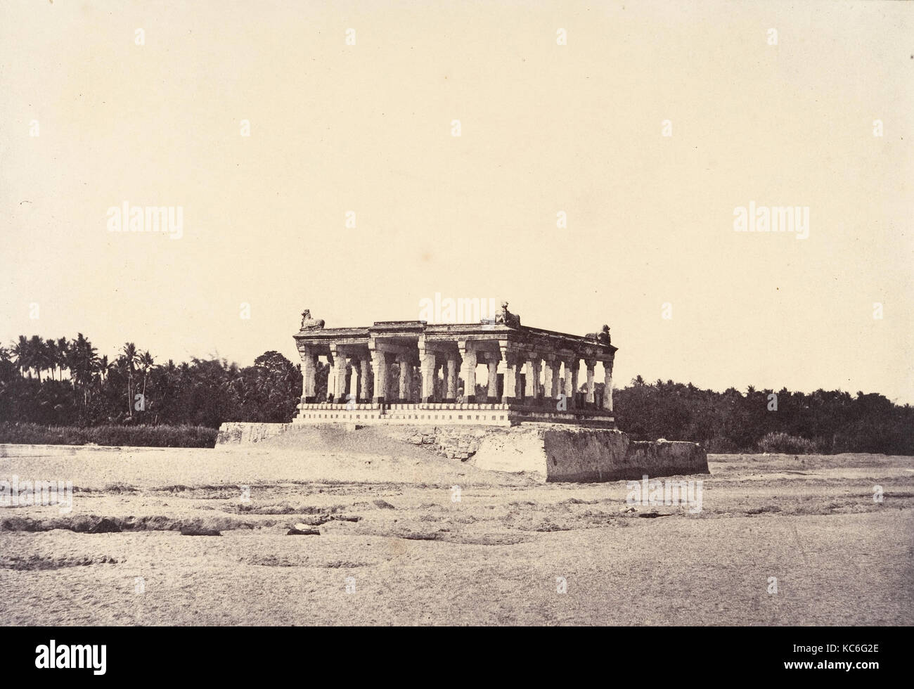 Linnaeus tripe hi-res stock photography and images - Alamy