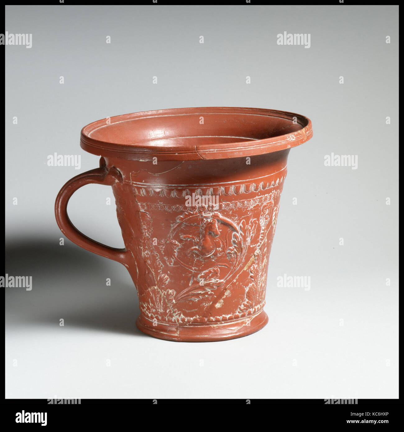 Modiolus hi-res stock photography and images - Alamy