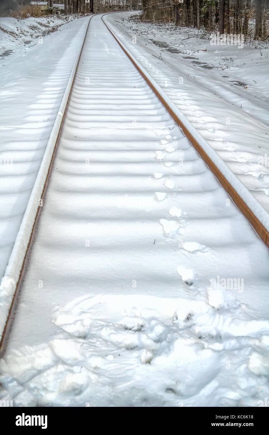 Tracks in the snow Stock Photo - Alamy