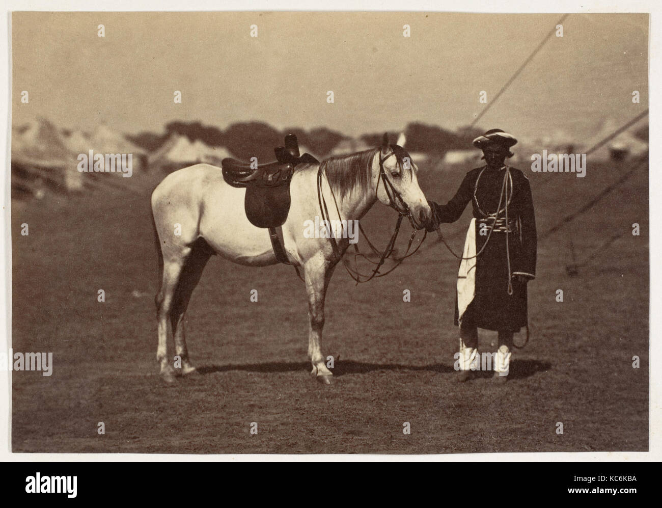 Lady Cannings Grey Arab, 1858–61, Albumen silver print, Image: 9.2 x 13 ...